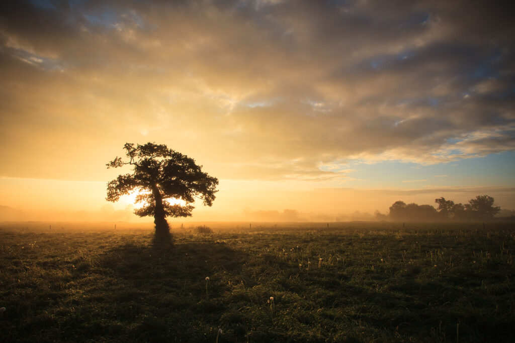 Eve and Adam: Temptation 101 - The Foundry Community